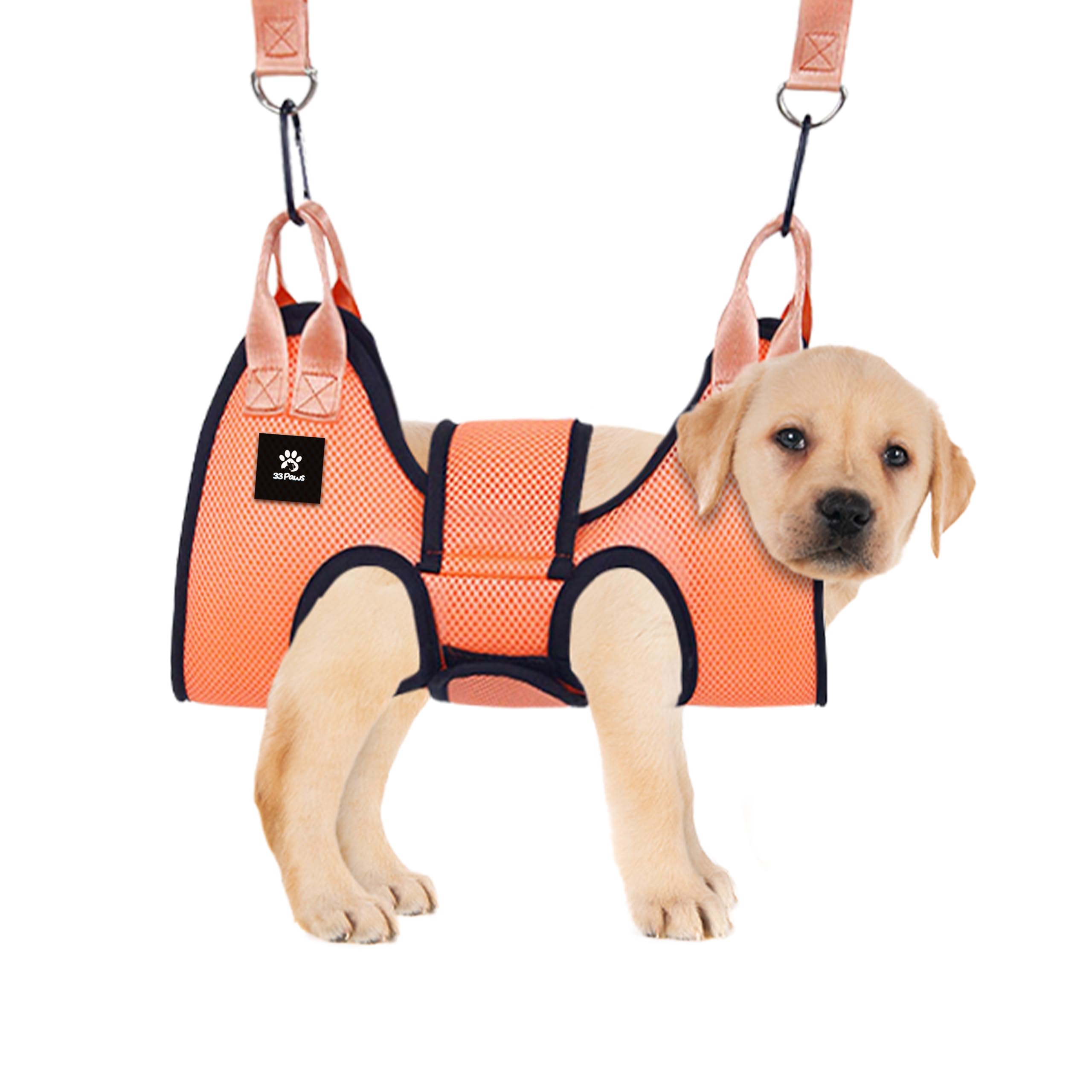 Amazon.com : 33 Paws Dog Grooming Hammock - Dog Sling for Grooming ...