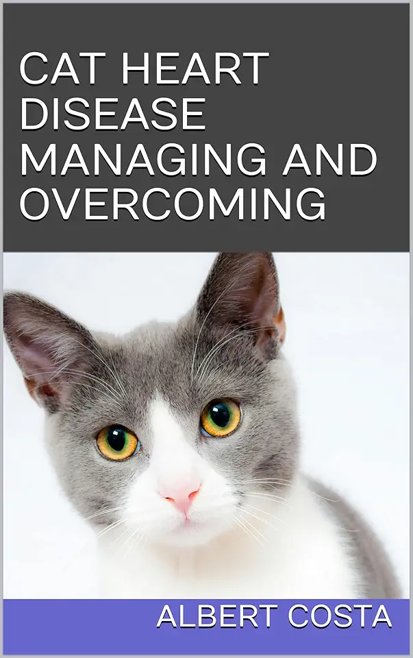 Heart Disease In Cats: Prolonging Life And Managing Symptoms | PetShun