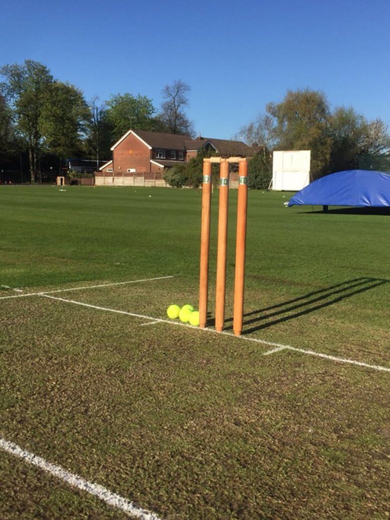 ND Sports Wooden Cricket Stumps & Bails Wicket With Bag, Multi-coloured ...