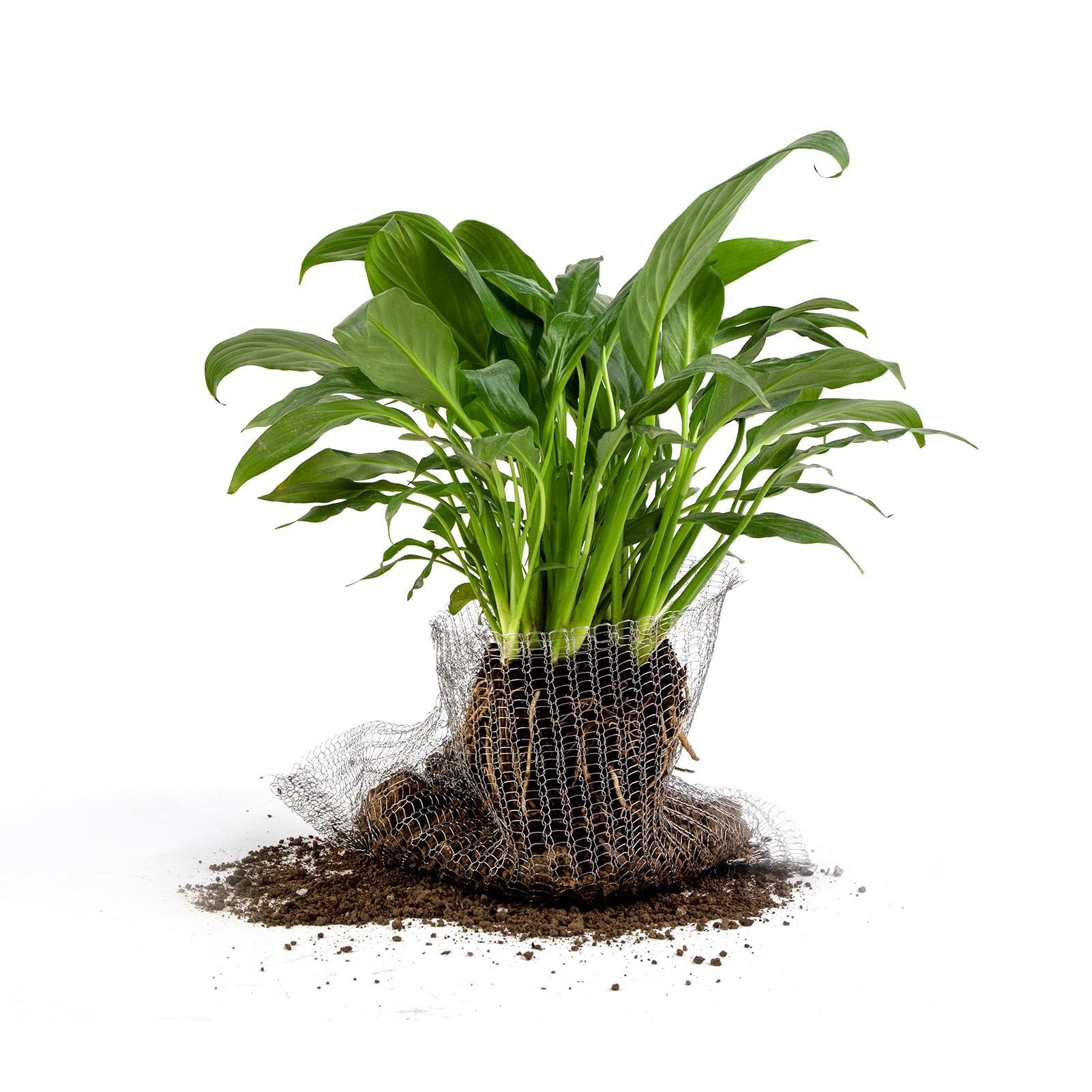 Snapklik.com : 2 Packs 15 Gallon Root Guard Gopher Proof Wire Basket ...