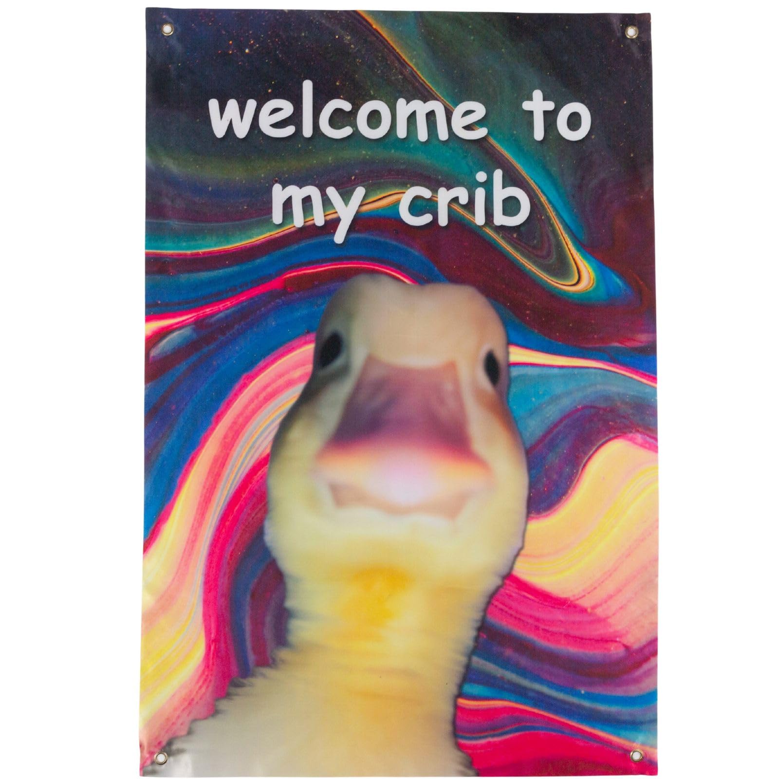 Amazon.com : GyroStriker Welcome to My Crib Flag Funny Tapestry for ...