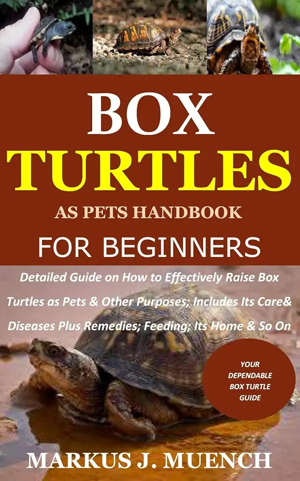 Turtles As Pets: Canadian Laws And Regulations | PetShun