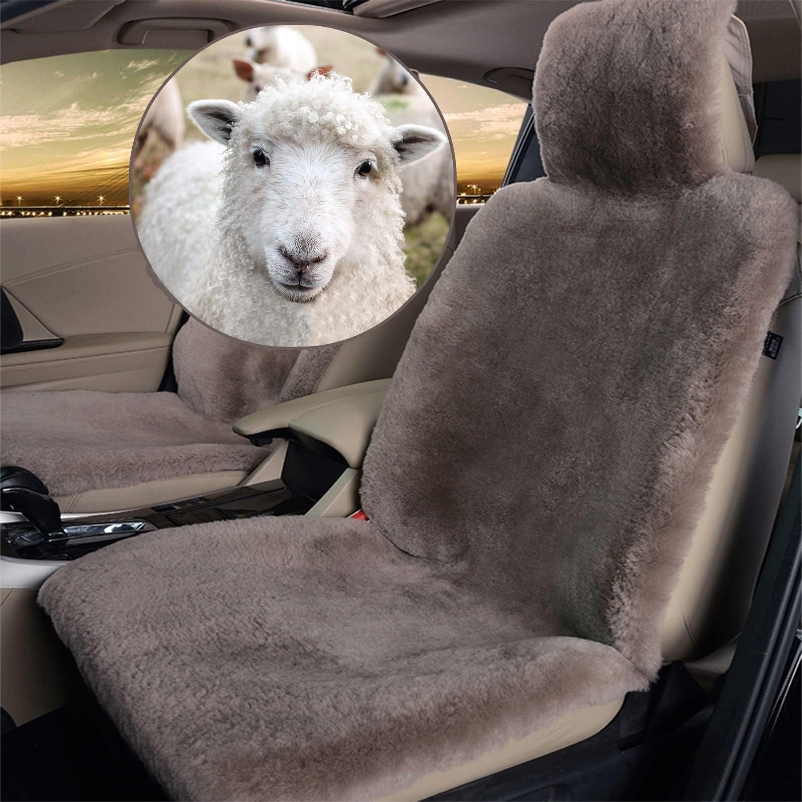 Real Sheepskin Seat Covers for Cars SUV Trucks Van RV Front Seats ...