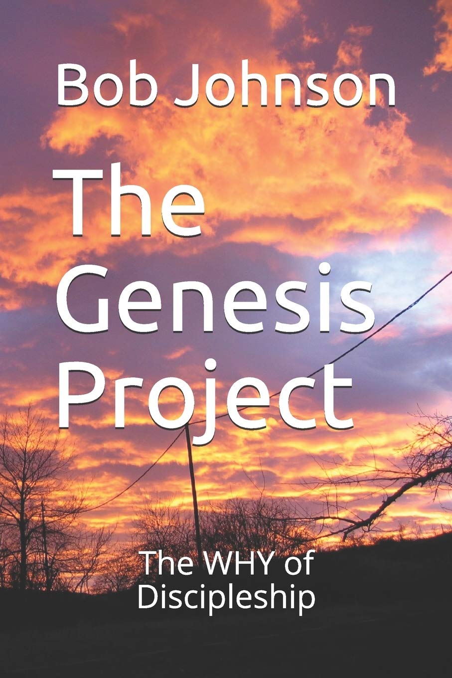 The Genesis Project: The WHY of Discipleship: Johnson, Bob ...