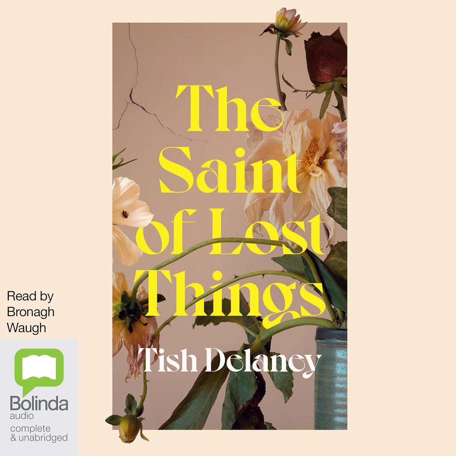 The Saint of Lost Things (Audio Download): Tish Delaney, Bronagh Waugh ...