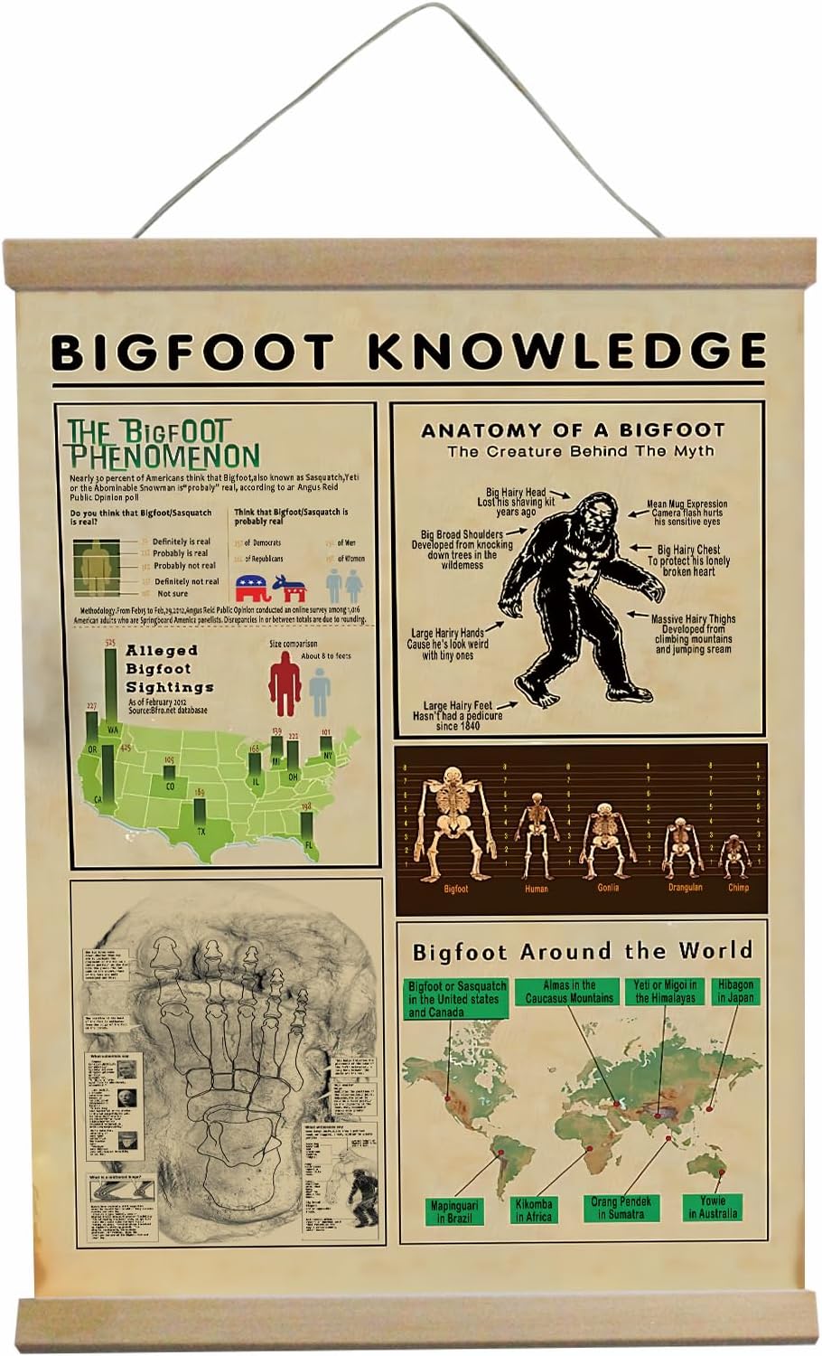 Amazon.com: Bigfoot Poster Sign Sasquatch Gifts Forest Decor Anatomy Of ...