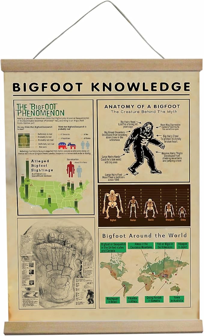Amazon.com: Bigfoot Poster Sign Sasquatch Gifts Forest Decor Anatomy Of ...