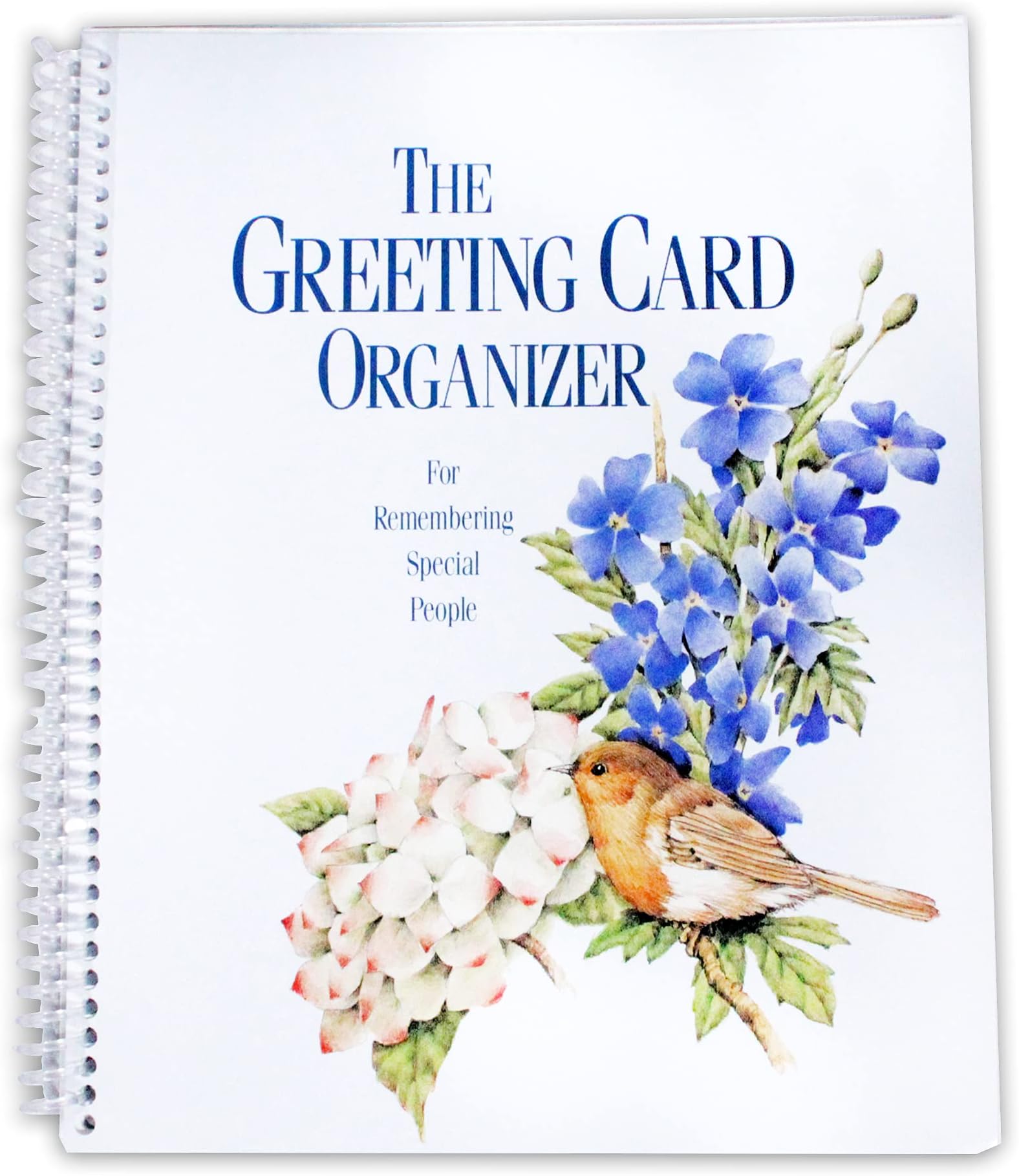 Amazon.com: Busy B Pink Daisies Birthday Card Book - 13 Storage Pocket ...