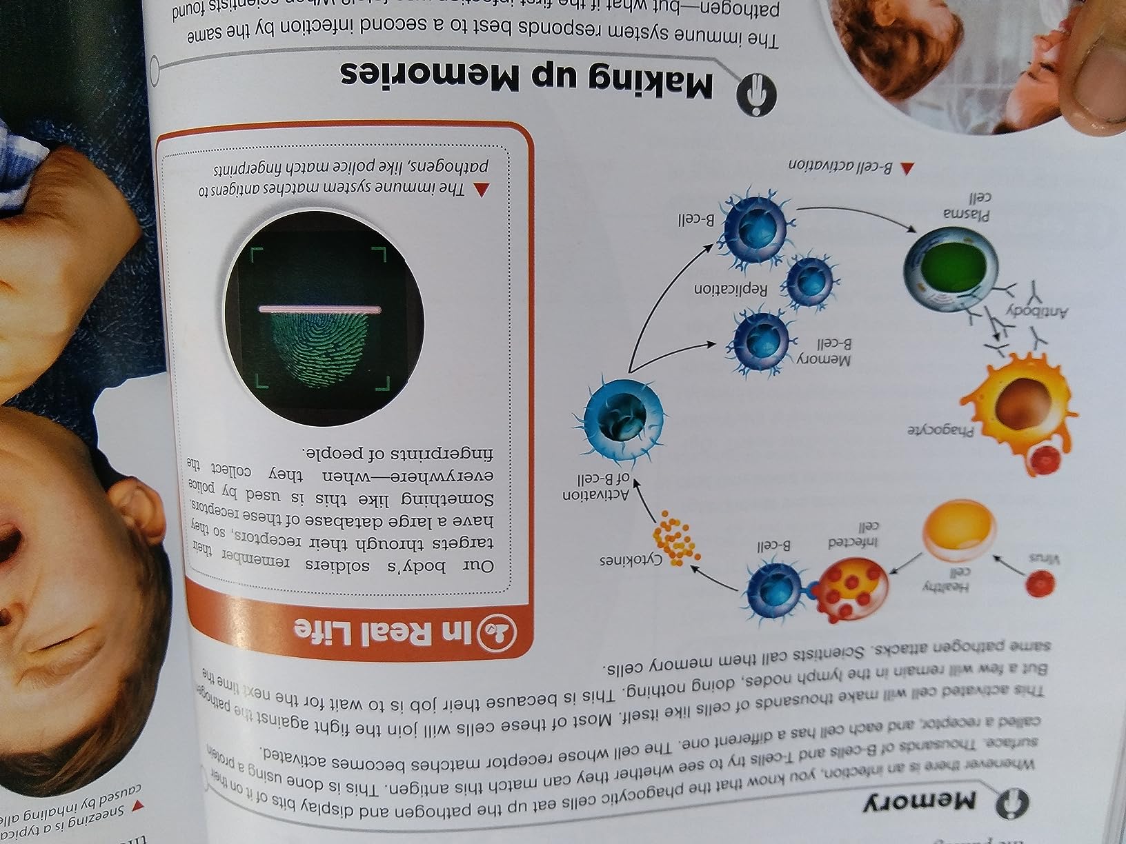 Human Body Box Set Knowledge Encyclopedia For Children [Paperback ...