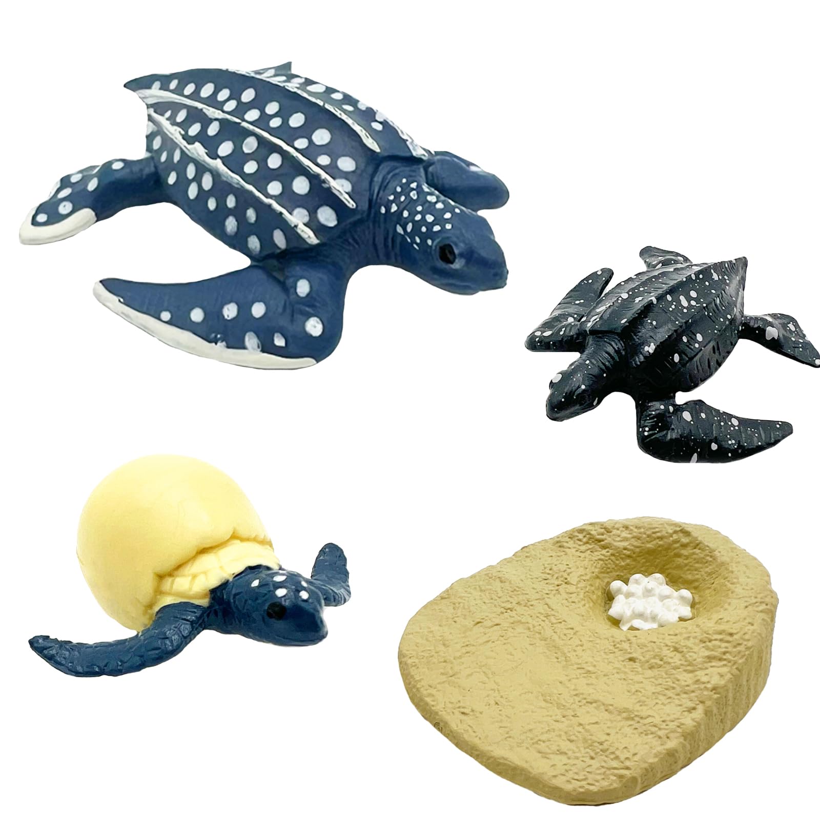 Snapklik.com : Momoplay Leatherback Turtle Life Cycle Set - Marine ...