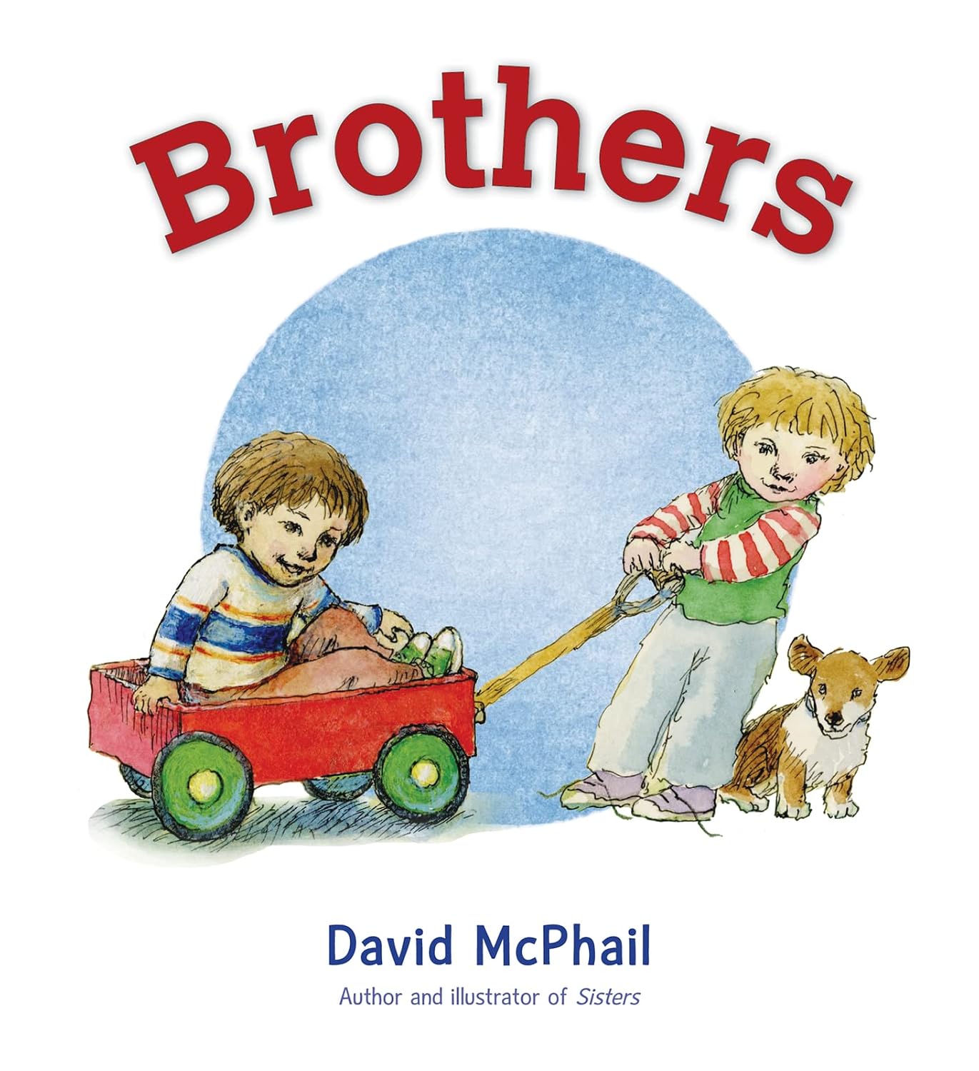 Brothers : McPhail, David, McPhail, David: Amazon.ca: Books