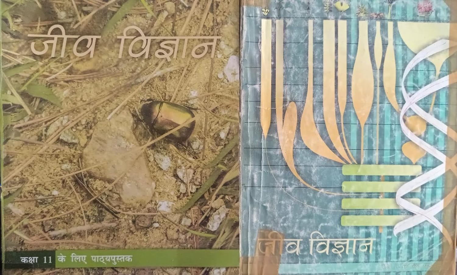 Amazon.in: Buy Ncert Jeev Vigyan Class 11&12 (Second Hand & Used Book) (S) Book Online at Low ...