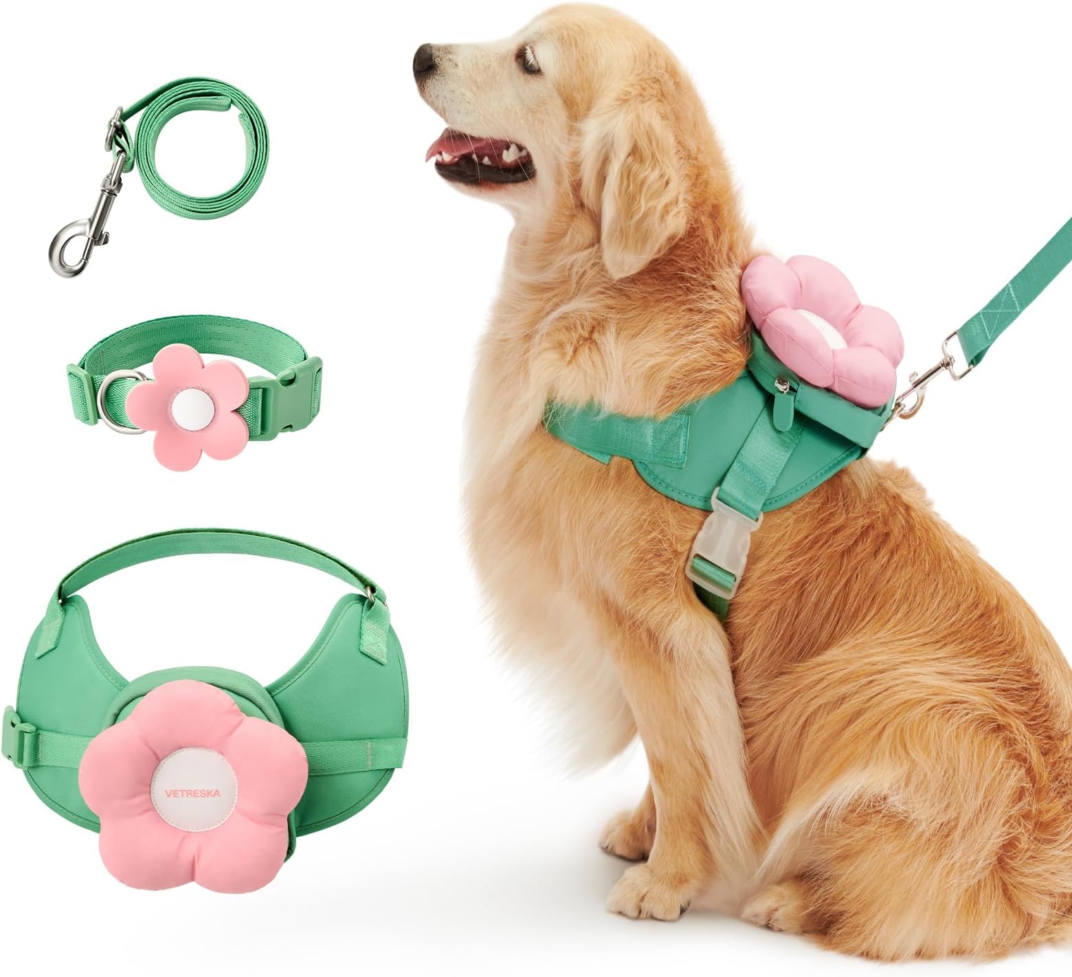 Amazon.com : Stock Show Pet Dog Cartoon Backpack Harness with Leash ...