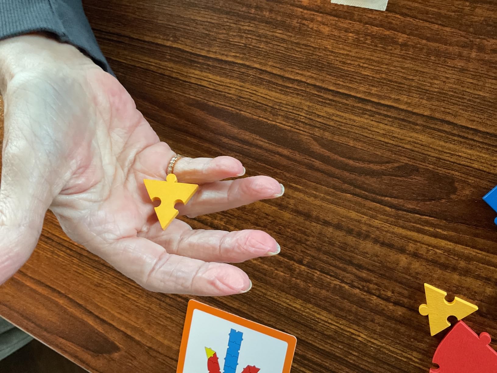 Amazon.com: Matching Puzzles Activities for Dementia Patients, 29 ...