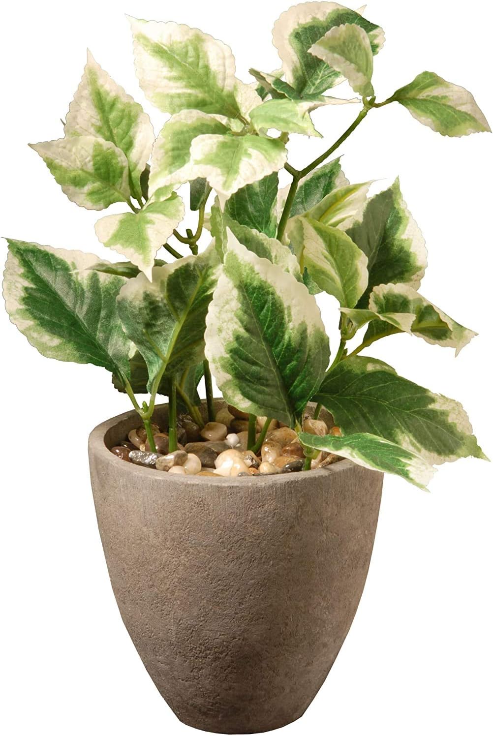 Amazon.com: National Tree Company Artificial Tree - Includes Pot Base ...