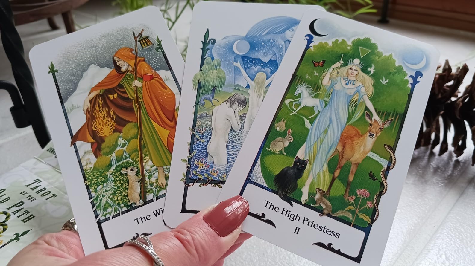 Tarot Of The Old Path Deck: Sylvia Gainsford: 9780880794909: Amazon.com ...