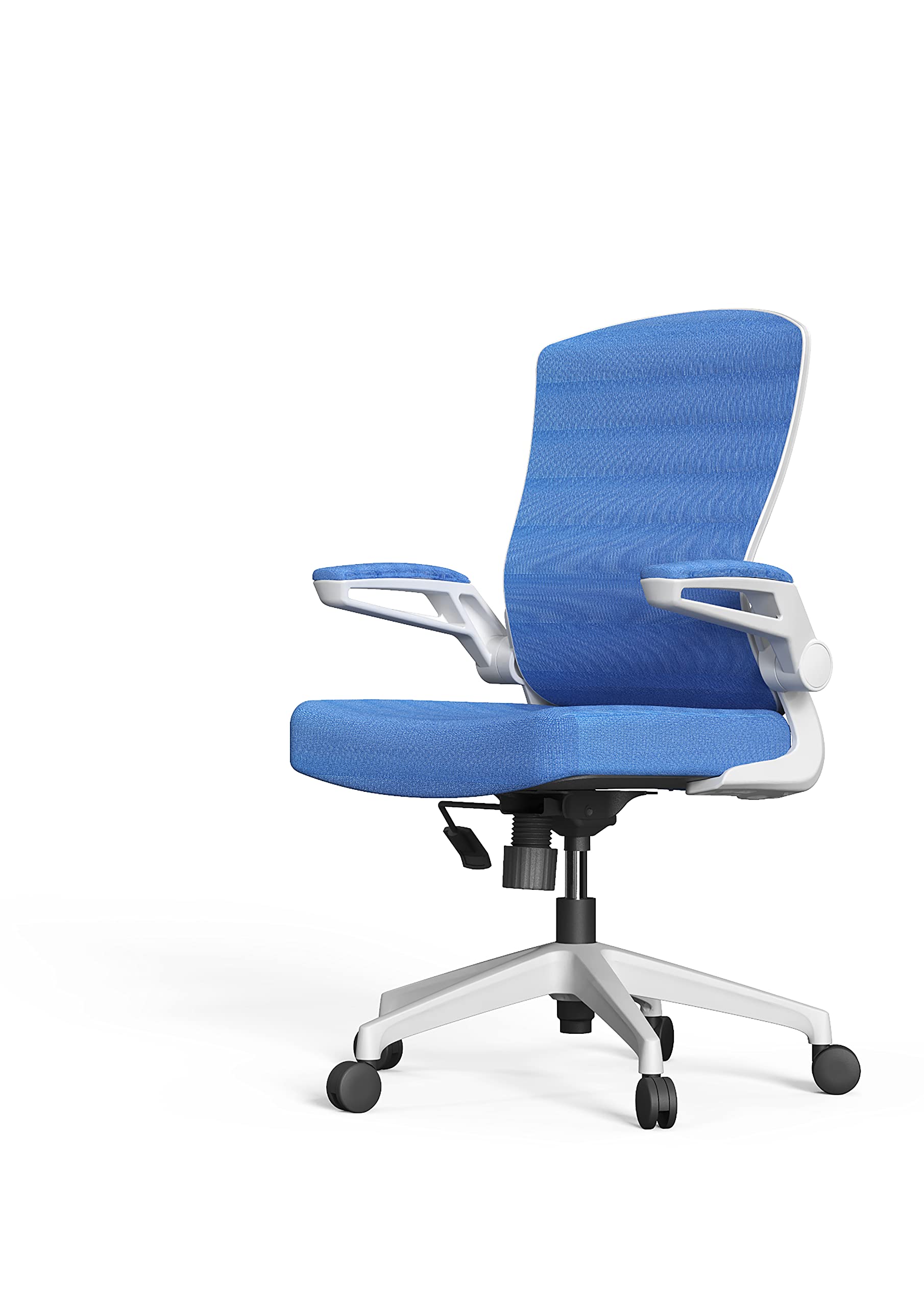 Amazon.com: Raynor Group ION Fabric Task Chair : Office Products