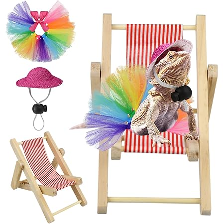 Amazon.com : 4 Pack Lizard Clothes for Bearded Dragons Straw Hat Set ...