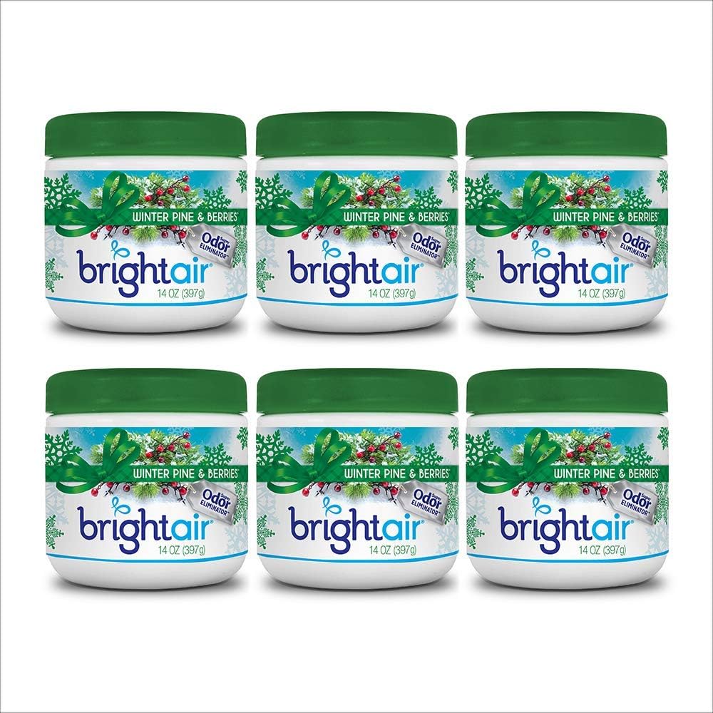 Amazon.com: Bright Air Solid Air Freshener and Odor Eliminator, Winter ...