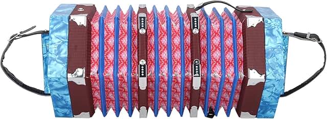 Amazon.co.uk: Concertina