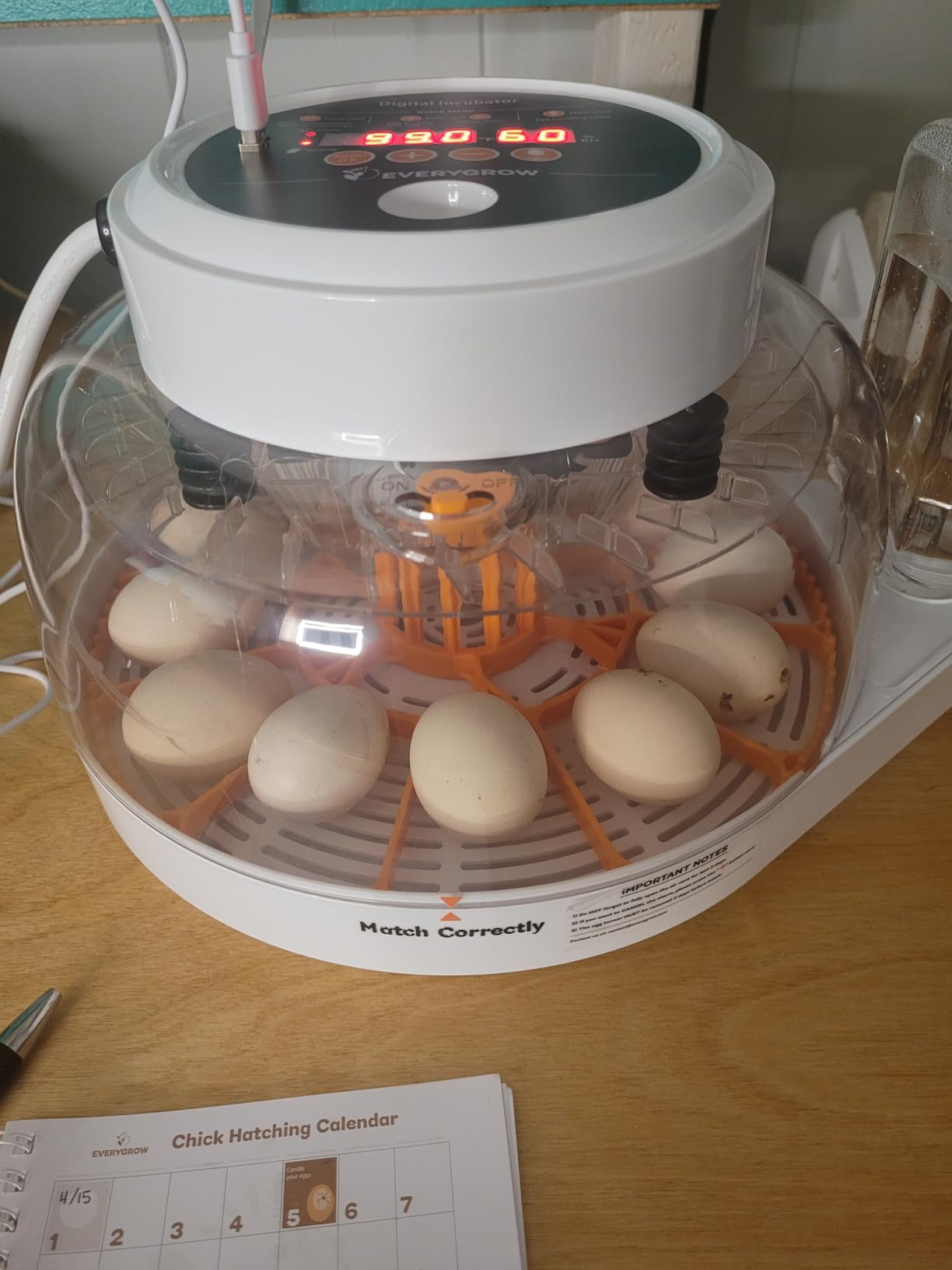 $10/mo - Finance 12 Egg Incubator for Hatching Eggs with Humidity ...