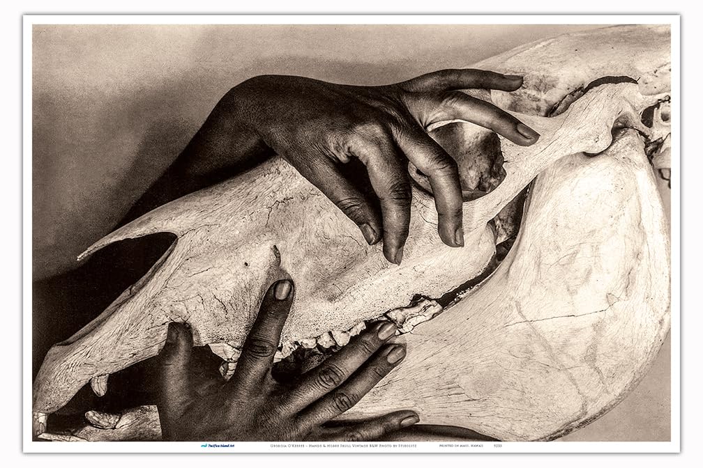 Amazon.com: Georgia O’Keeffe – Hands and Horse Skull - Vintage B&W ...