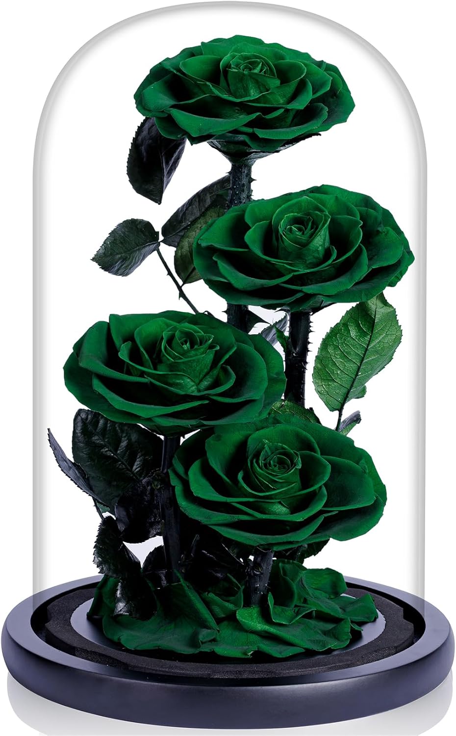 Amazon.com: Preserved Flowers in Glass Dome - Forever Real Roses Gifts ...