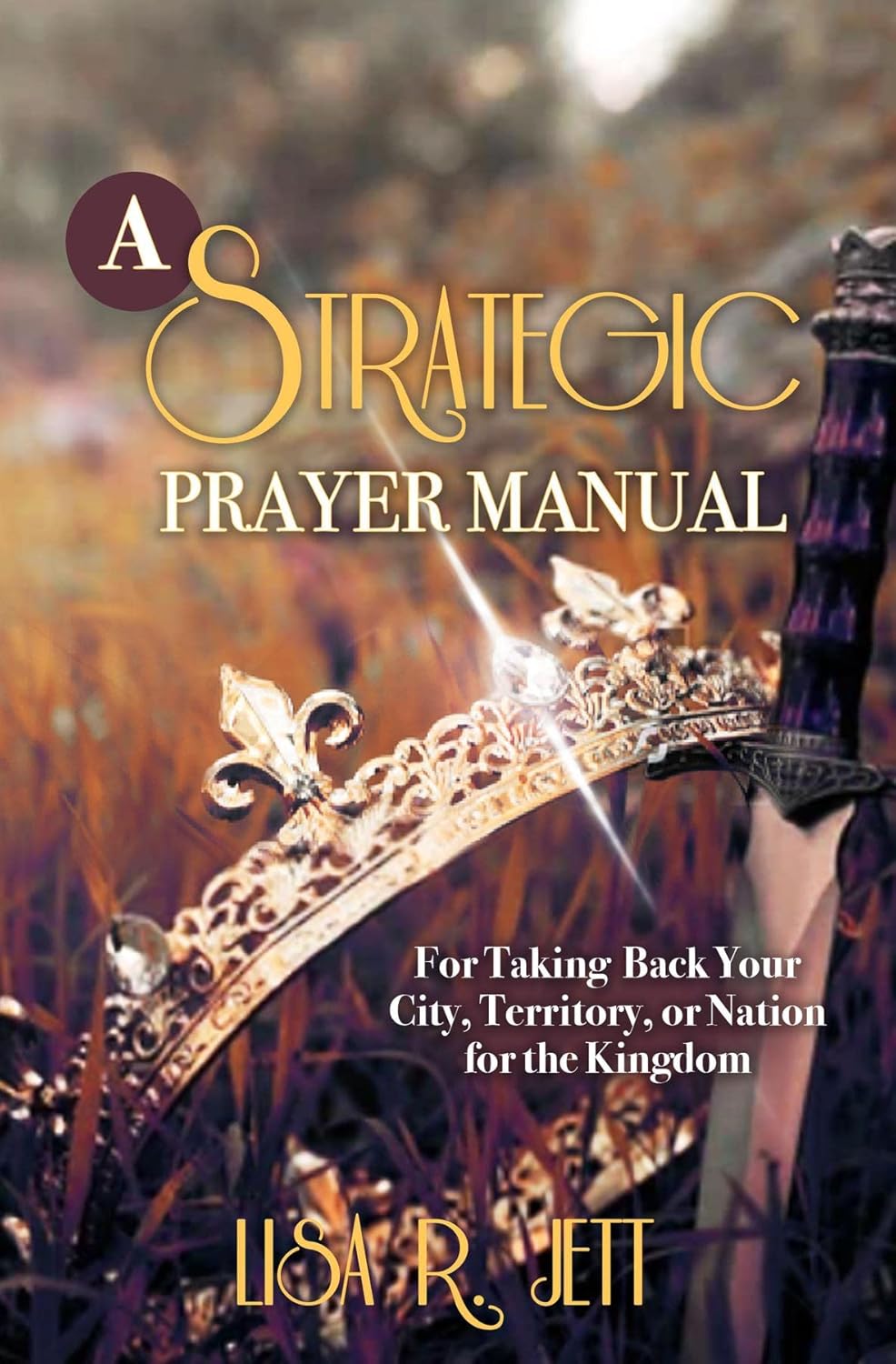 A Strategic Prayer Manual: For Taking Back Your City, Territory, or ...