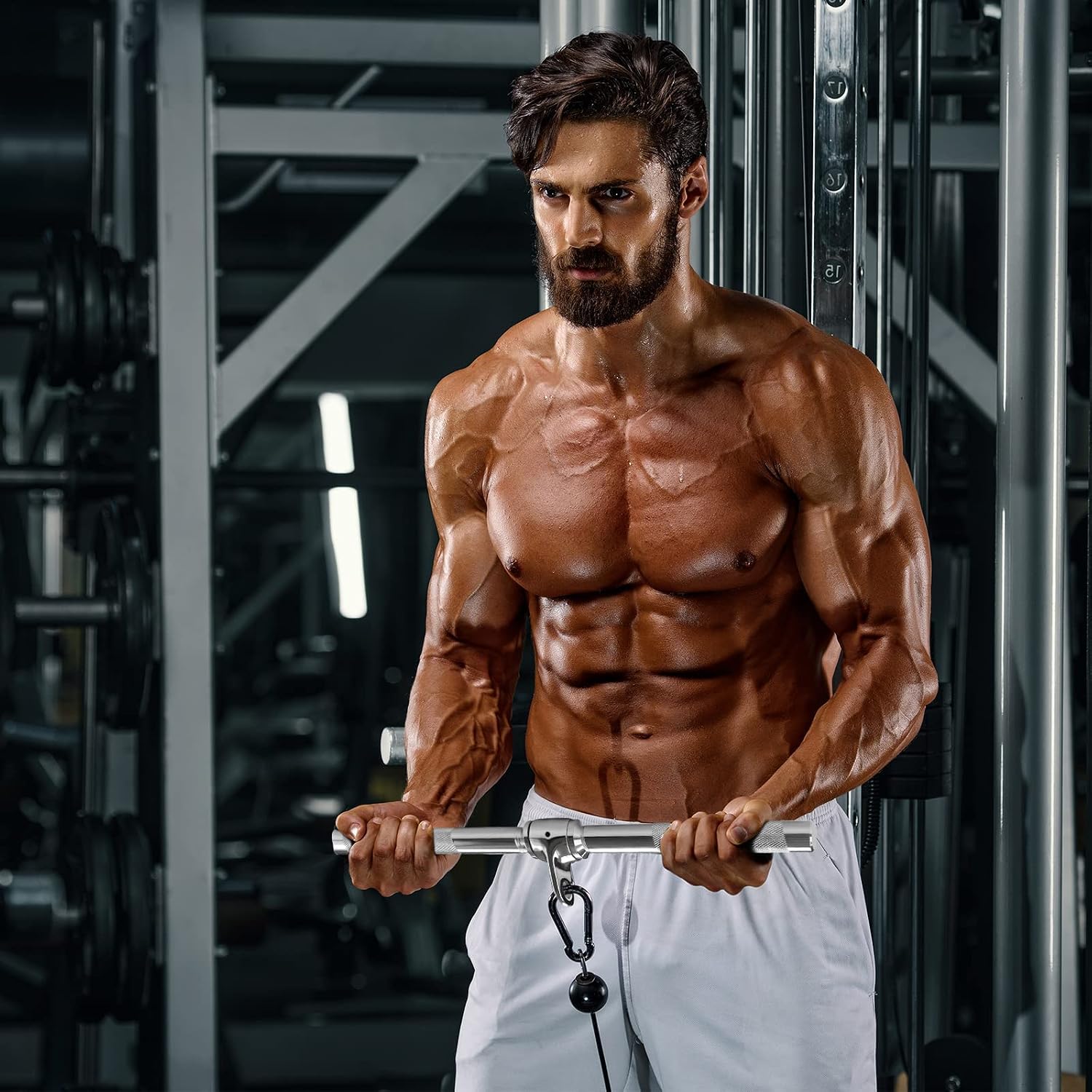 A2ZCARE Combo Tricep Press Down Cable Attachment | Multi-Option: Double ...