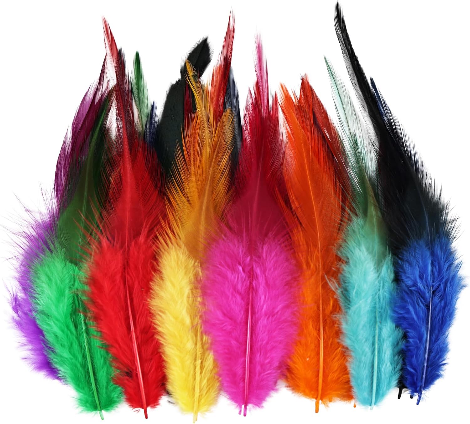 Amazon.com: Daieeparty 600pcs Saddle Hackle Rooster Feathers 3-5 Inches ...
