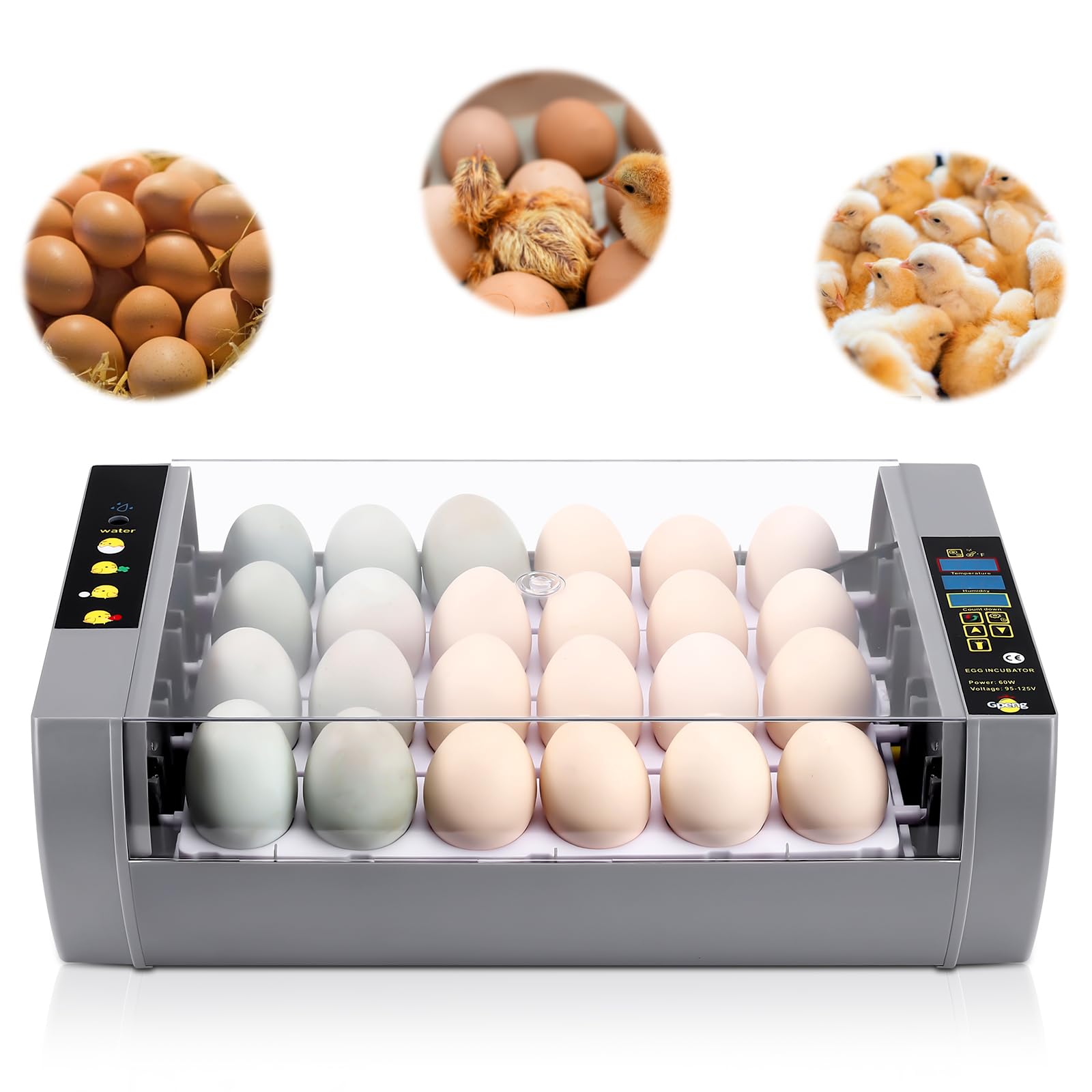 Egg Incubator, 24 Eggs Incubator with Digital Display, Auto Egg-Turning ...