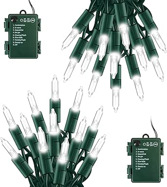 Battery Powered 2-Pack 60 LED 20 ft String Lights - Christmas Ambiance ...