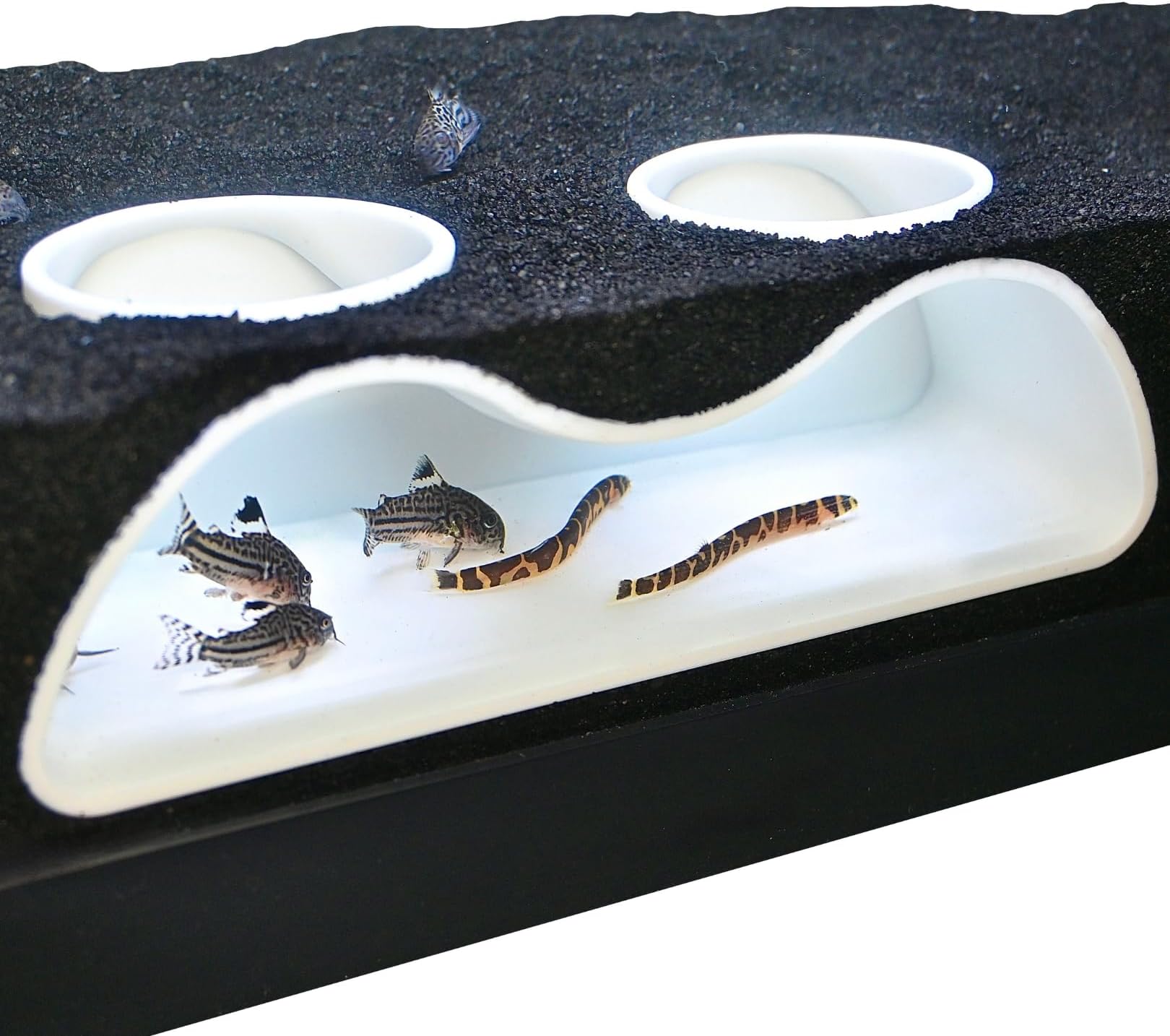 Amazon.com: Aquarium Underground Tunnel Cave Natural Curve Two Hole ...