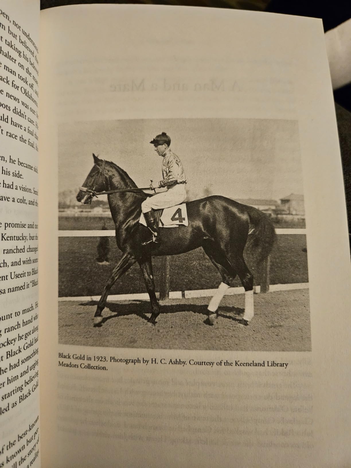 Amazon.com: Dream Derby: The Myth and Legend of Black Gold (Horses in ...