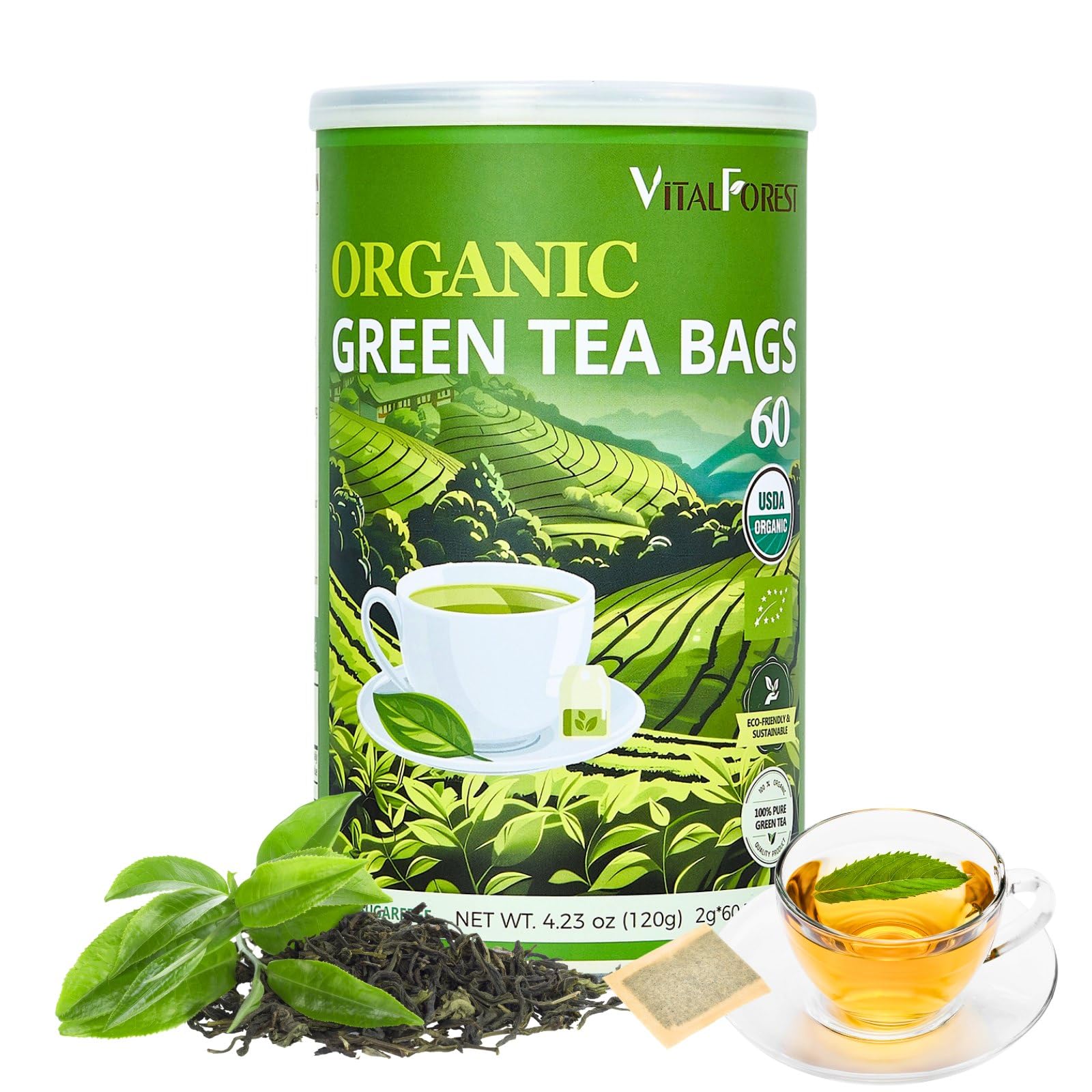 Amazon.com : Organic Green Tea Bags| 60 Count Unbleached ECO-Conscious ...