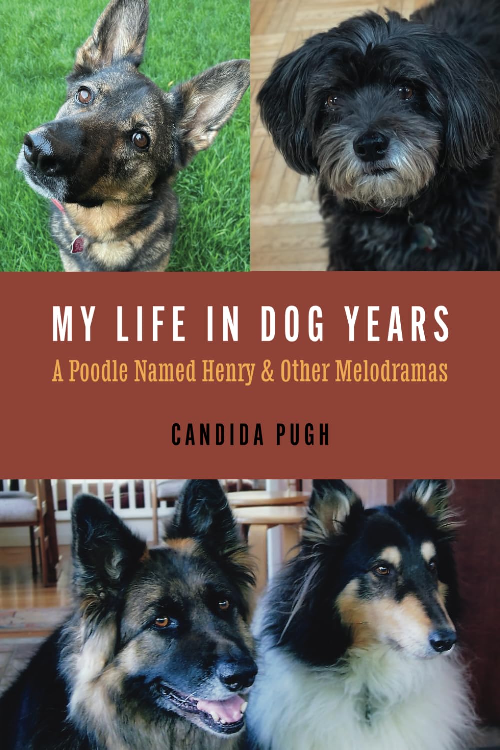 My Life in Dog Years: A Poodle Named Henry and Other Melodramas: Pugh ...
