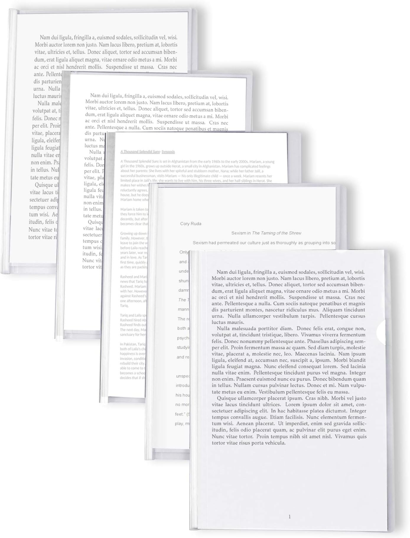 Lakeer Set of 5 Pcs Report Stick Files, Channel File Transparent Strip ...