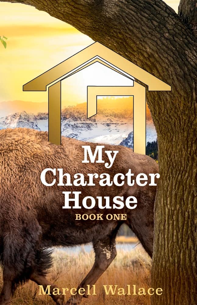 My Character House: Book One (1): Wallace, Marcell: 9781098333171 ...
