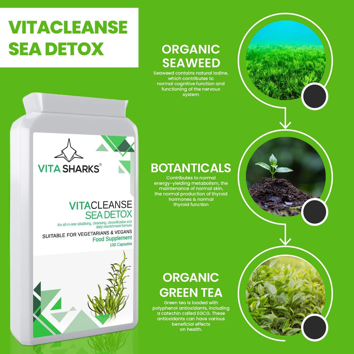 VitaCleanse Sea Detox 100 Capsules – All-in-One Body Alkalising ...