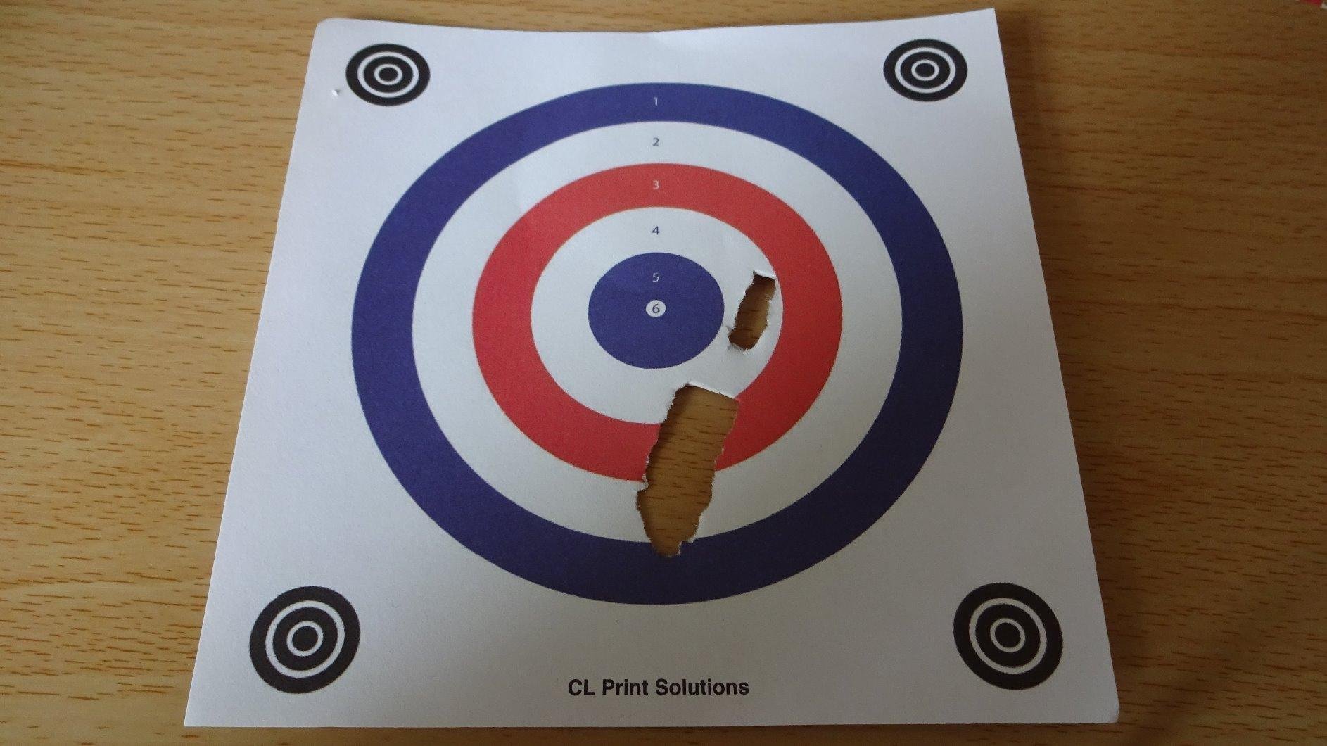 CL Print Solutions 100 x 14cm 2 Colour Paper Targets Air Rifle Pistol ...
