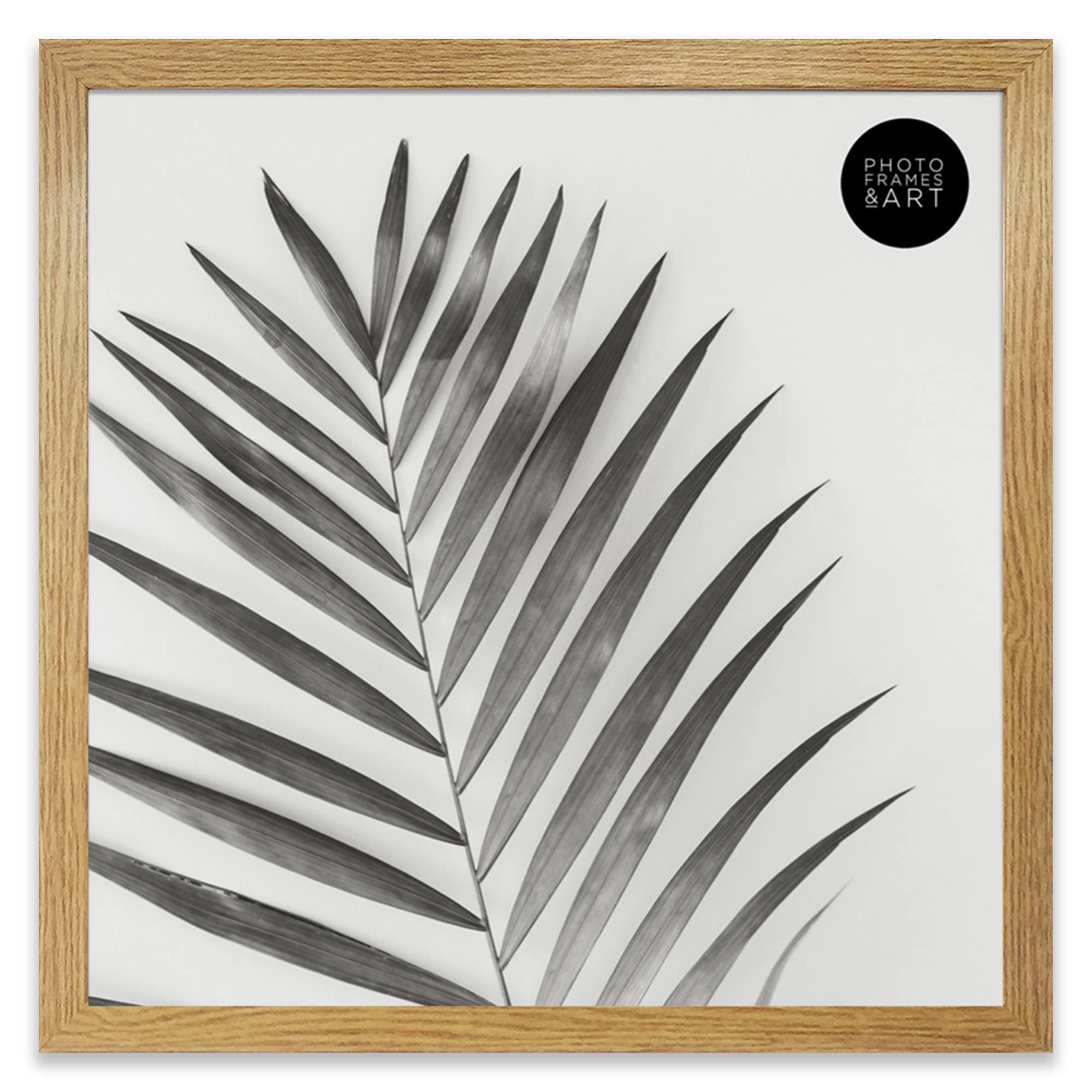 pf+a REAL GLASS Large Square Frame For 16x16 Photo - Oxford Oak 16x16 ...