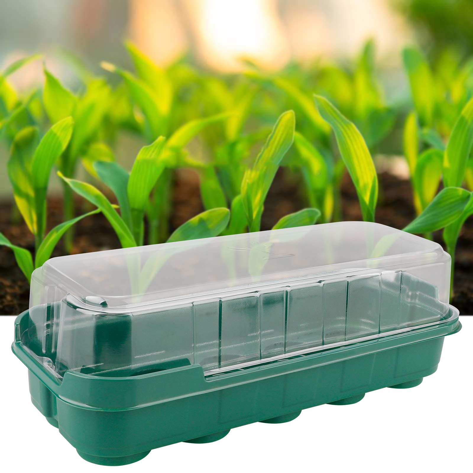 Amazon.com: TITA-DONG 6 Pack Seed Propagator Tray Set, Mini Sturdy ...