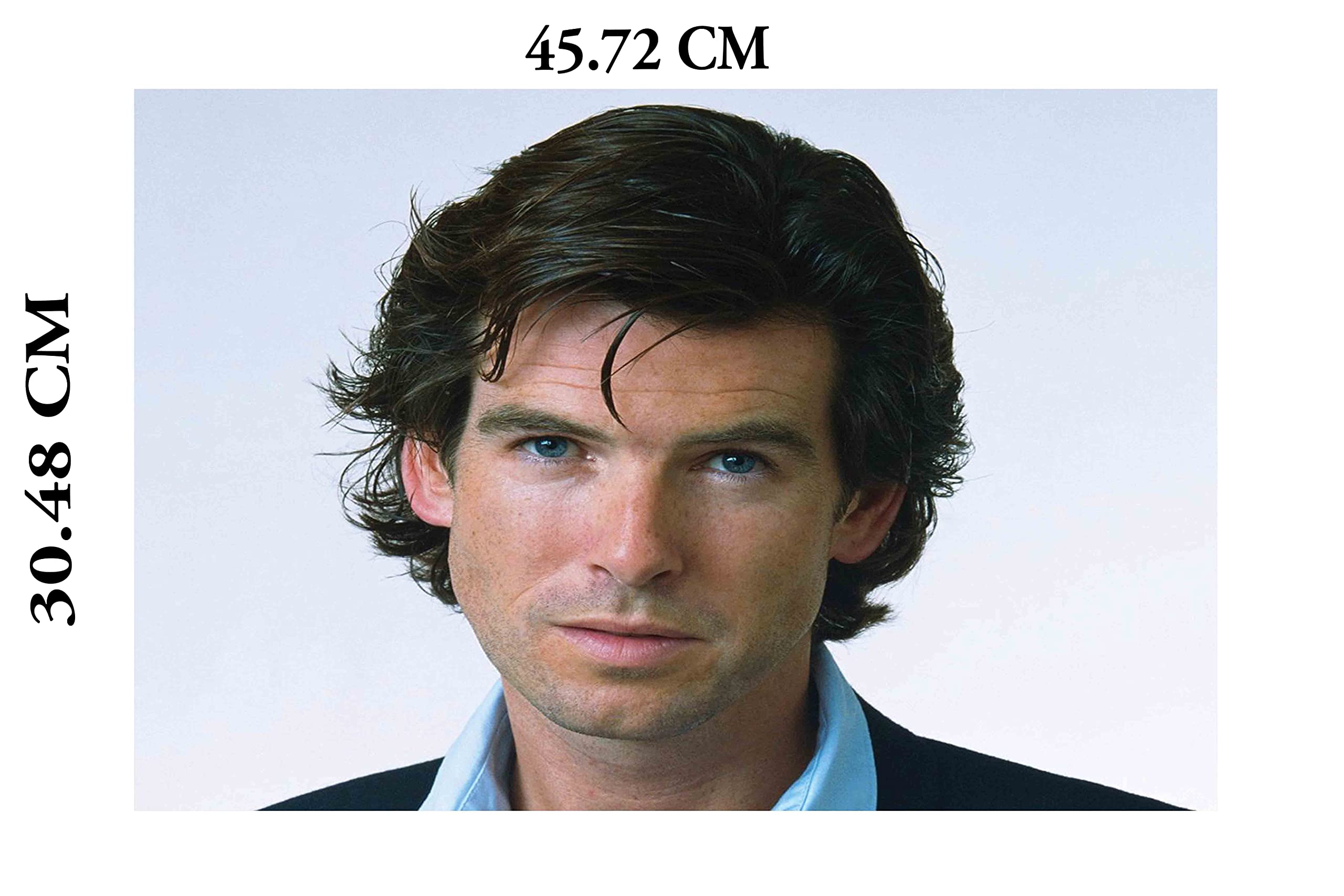 Buy Famous Celebrity Pierce Brosnan Wall Poster|Hollywood Movie Actor ...