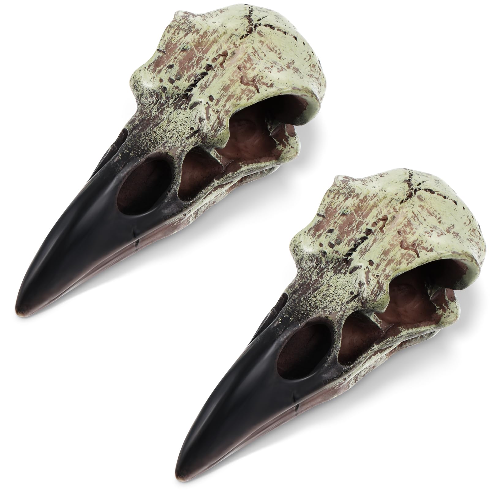 Amazon.com: Geetery Halloween Raven Skull Figurine Scavenger Gothic ...