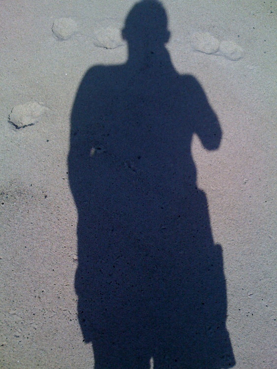 Amazon.com: Tom Conroy: books, biography, latest update