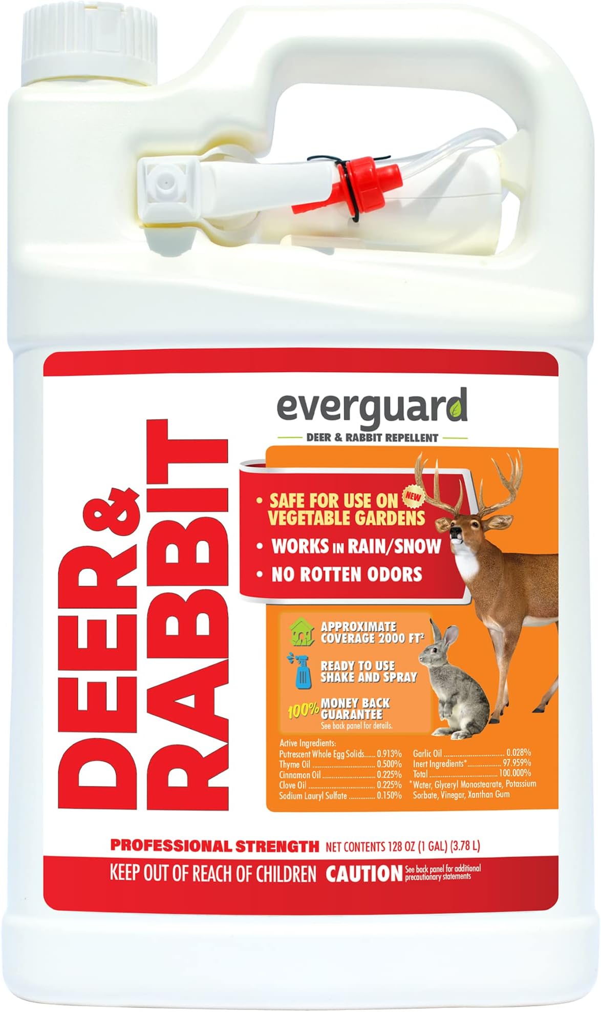 Amazon.com: Everguard 1gal. Ready to Spray Deer & Rabbit Repellent ...