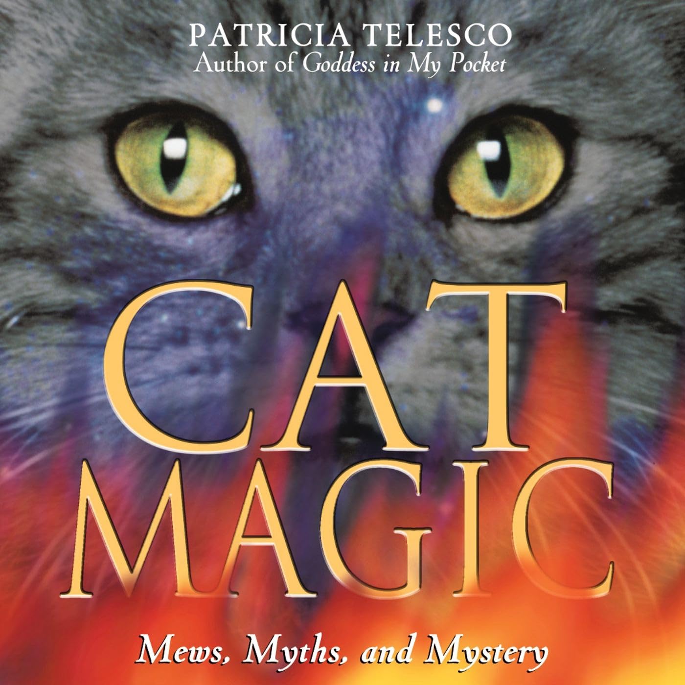 Cat Magic: Mews, Myths, and Mystery: Telesco, Patricia: 9780892817740 ...