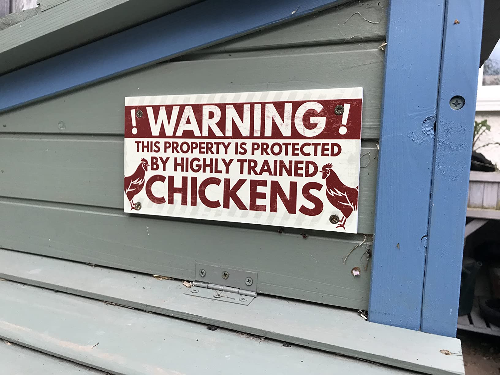 RED OCEAN Novelty Chicken Warning Sign Pet Bird Hen Gifts Chicken Coop ...