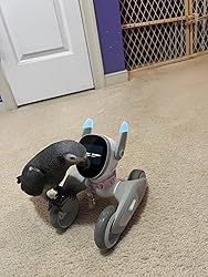 Amazon.com: Loona: Your Adorably Intelligent Petbot - Chat GPT-4o Enabled with Voice Command ...