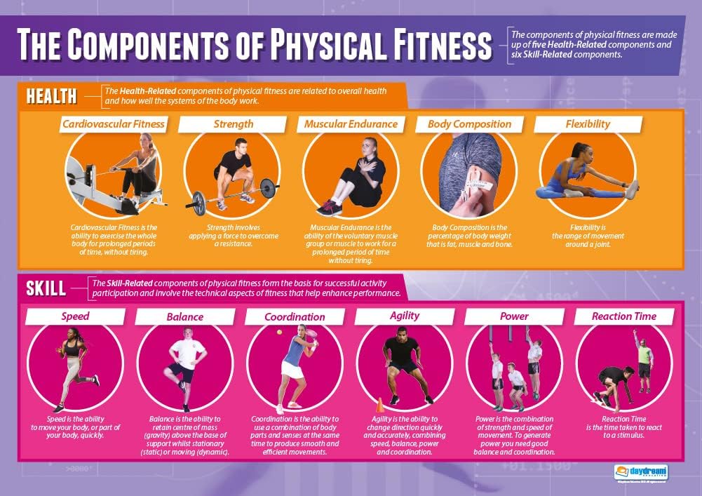 Physical Fitness Components Chart for PE Classroom Philippines | Ubuy